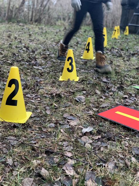 10 Venner Lekolar Norge