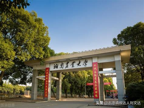 從二本民辦退檔錄取到公辦一本的志願填報成功案例 每日頭條