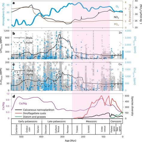 Concentrations Of Trace Elements Decreased In The Mesozoic While The