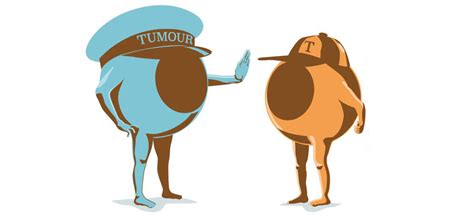 【明看并购】强生：胞命贵 北京东方高圣控股股份有限公司