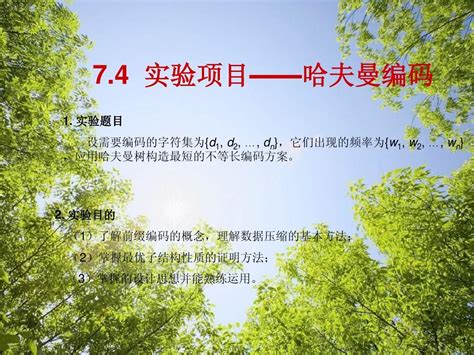 74 实验项目——哈夫曼编码word文档在线阅读与下载无忧文档