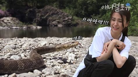 몸 길이만 2m 박하선 위협하는 황구렁이ㄷㄷㅣkbs 200910 방송 Youtube