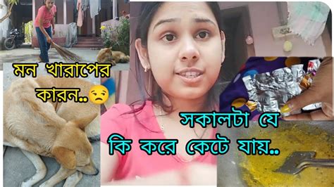 Bangla Vlog🌸সকালটা যে কিভাবে কেটে যায় তা ভগবান ই জানেসবারই মন