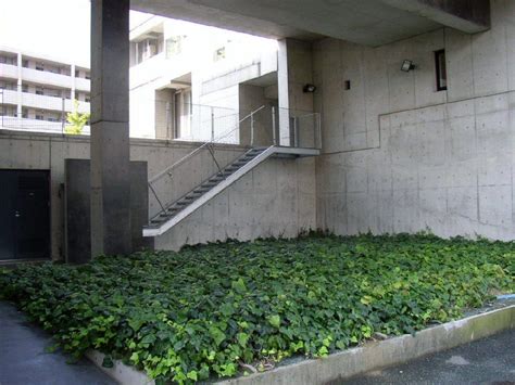 Void Space Hinged Space Housing Viviendas En Fukuoka 1989 1991 Steven Holl Diagramas De