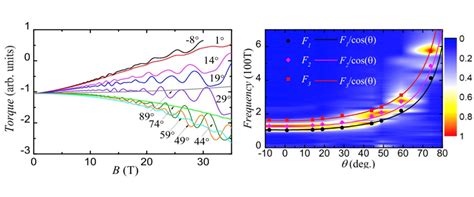 Exploring Topological Semimetals In High Magnetic Fields Maglab