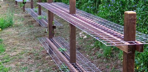 Image Result For Raspberry Trellis Vegetable Garden Design Berry Garden Vegetable Garden Diy