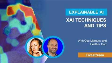 Explainable Ai With Matlab Techniques And Tricks Oge Marques