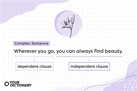 Complex Sentence Examples