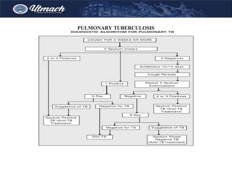 pulmonary tuberculosis algorithm docx lung and respiratory health