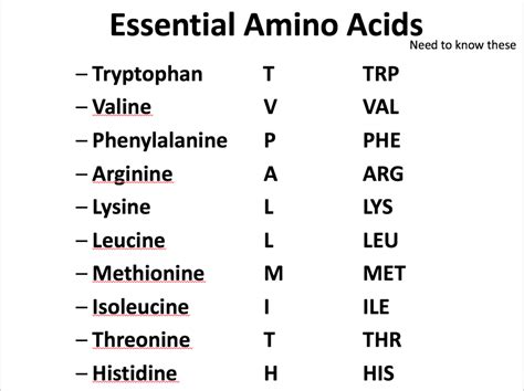 ANSC Pre Midterm Diagram Quizlet ANSC Pre Midterm Diagram Quizlet