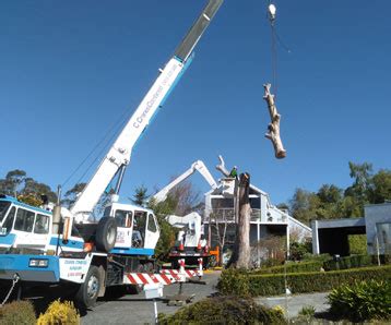 Tree Branch Removal Hobart Surrounds Horizon Tree Service