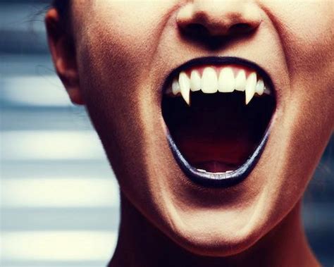 გიჟი სამყარო