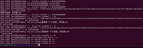 操作系统实验报告（一） 进程管理与进程通信操作系统实验报告进程管理 Csdn博客