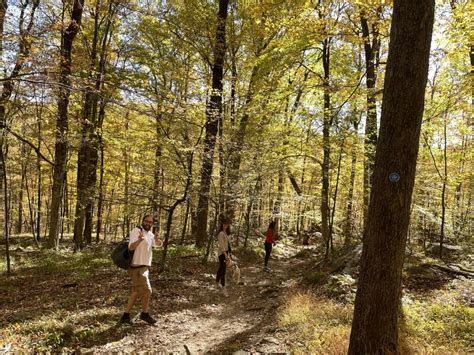 Thomas Baade Mathiesen On Linkedin Cop16 Biodiversity Climateaction Leadership