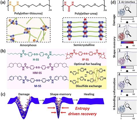 Upcycling Of Dynamic Thiourea Thermoset Polymers By 41 Off