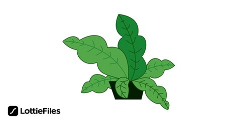 Free Tree Lottie Animation Animation By Sm Rony Lottiefiles