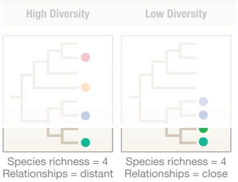 Biodiversity Conservation Flashcards Quizlet