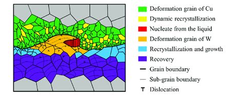 the schematic sketch of the grain distribution based on ebsd data and download scientific