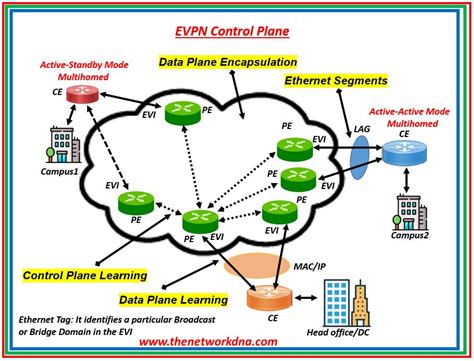 Ethernet Segment In EVPN All You Need To Know The Network DNA
