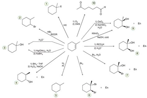 Ochem Final Diagram Quizlet