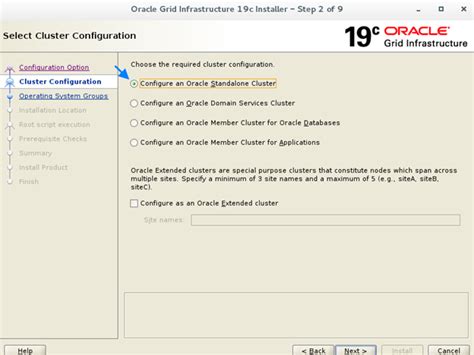 Database And Datascience Tutorial To Install And Configure 2 Nodes Oracle 19c Rac On Linux