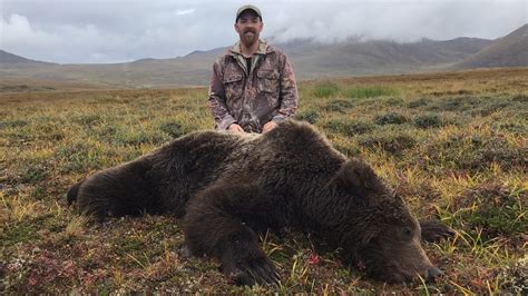 Alaska Brown Black And Grizzly Bear Hunts 312 Hunt Nation
