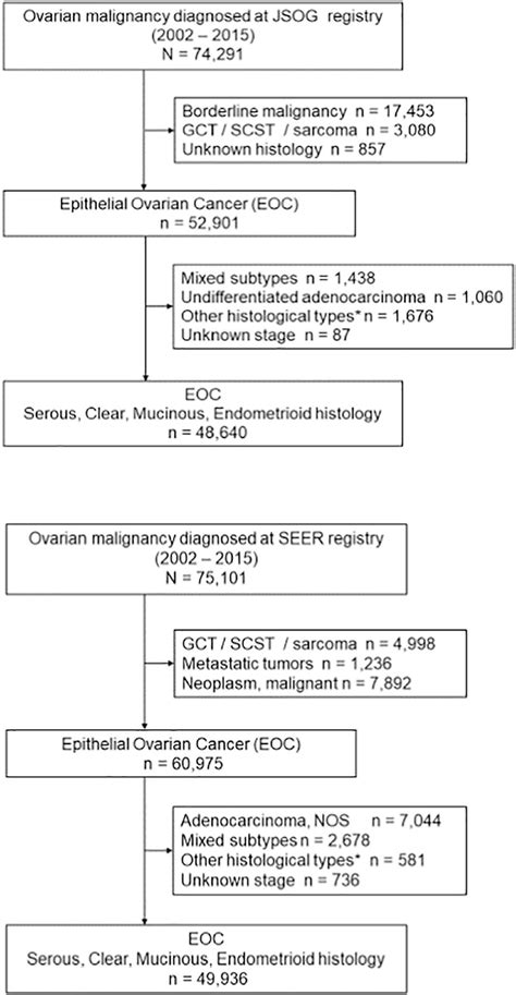 Selection Criteria Abbreviations JSOG Japan Society Of Obstetrics Download Scientific Selection Criteria Abbreviations JSOG Japan Society Of Obstetrics Download Scientific