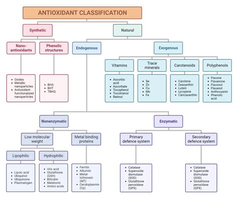 Cartilaginous Joint Biology Simple
