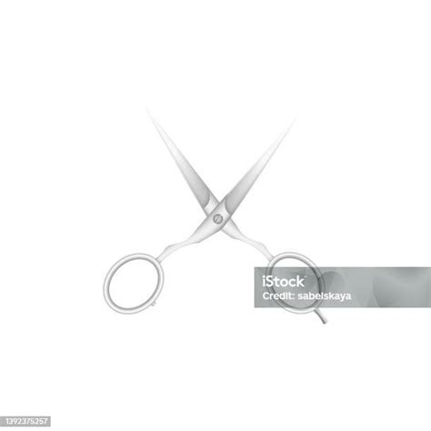 오픈 미용사 금속 가위 모형 현실적인 벡터 일러스트 레이 션 3차원 형태에 대한 스톡 벡터 아트 및 기타 이미지 3차원 형태 가위 가지치기 가위 Istock