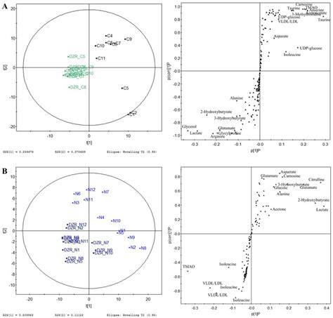 Two Paired Pls Da Score And S Plot Reveal Altered Metabolite Levels