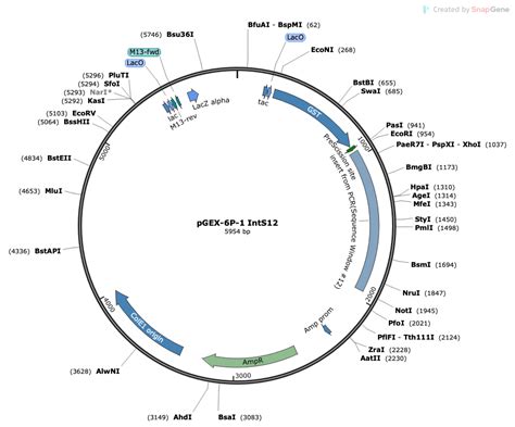 Addgene Pgex 6p 1 Ints12