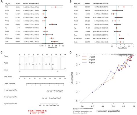 Construction Of A Predictive Nomogram A B Univariate A And Download Scientific Diagram