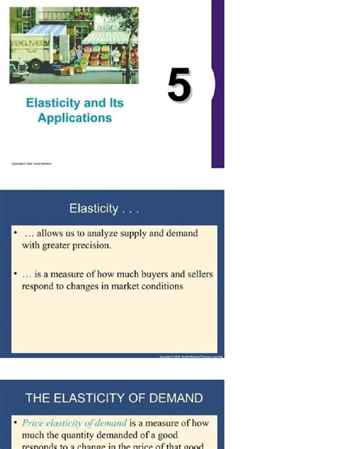 chapter 5 elasticity and its application pdf