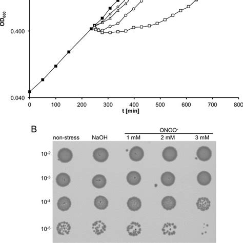 Growth And Survival Of E Coli Wild Type Cells Under Different Download Scientific Diagram