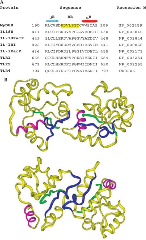 Amino Acid Sequence Alignment Of The Conserved Extended Loop In The Tir Download Scientific