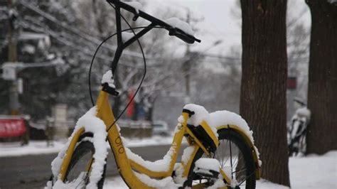 2020年2月的雪：这辆小黄车依然坚挺地站立在雪中社会民生好看视频