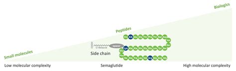 Semaglutide Peptide Api Manufacturer And Supply Bachem