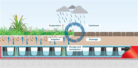 Capillary Irrigation System Polypipe Middle East Irrigation System Irrigation Water Management