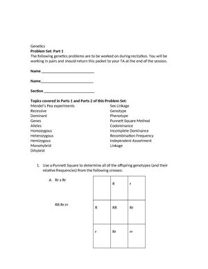 DNA Profiling Activity DNA Profiling Using STRs DNA PROFILING USING STRs INTRODUCTION Most