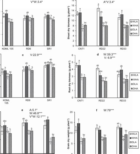 The Shoot And Root Biomass And Grain Yield Of Six Rice Varieties In