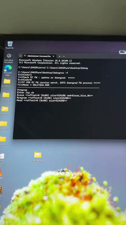 0624 Winflash Youtube