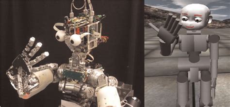 Icub Robot And Simulator Learning To Visually Recognize Their Hand Download Scientific Diagram