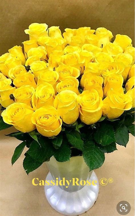 The Cassidy Rose Good Morning Flowers Good Morning Beautiful Flowers Good Morning