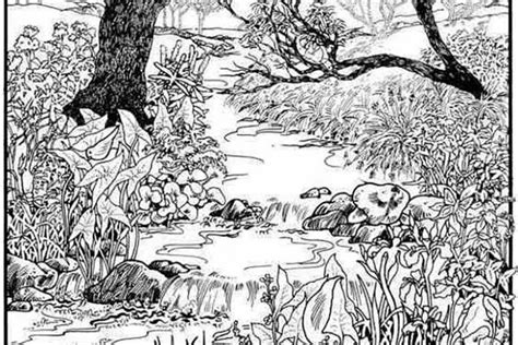 ИМАТЕ ВИСОК КОЕФИЦИЕНТ НА ИНТЕЛИГЕНЦИЈА Лесно ќе го пронајдете женското лице за 11 секунди