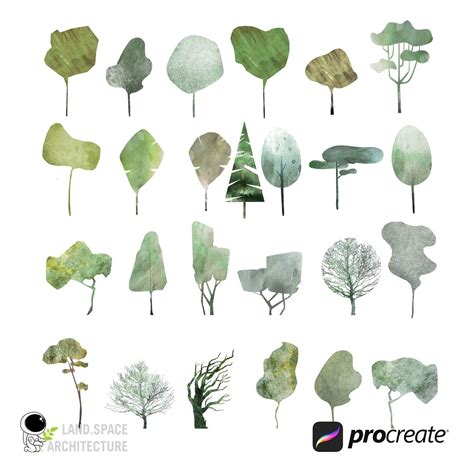 Procreate Watercolor Tree Elevation Brushes Landscape Architecture