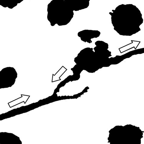 Enlarged 500 Micrograph Showing The Fatigue Crack Propagation Download Scientific Diagram