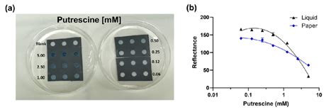 A Picture Of The Putrescine Calibration Curve Concentration Range