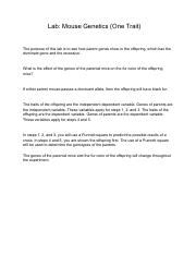 Understanding Mouse Genetics Predicting Offspring Fur Color Course Hero