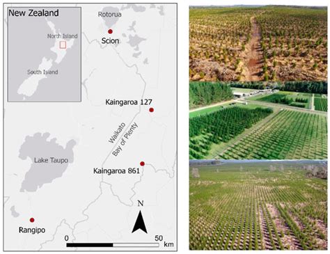 Remote Sensing Special Issue Individual Tree Detection And Characterisation From Uav Data