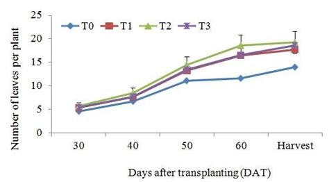 Effect Of Plant Spacing On Number Of Leaves Per Plant At Different Dat